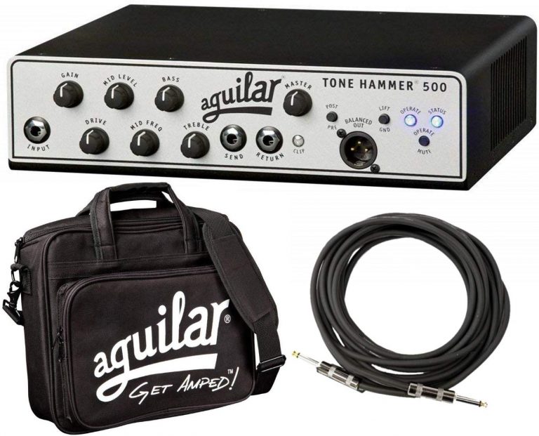 12 Best Bass Amps of 2022 To Up Your Music Ante