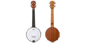 10 Irish Musical Instruments That Are Now Popular Worldwide - Loud Beats