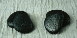 10 Most Popular Hawaiian Musical Instruments - Loud Beats