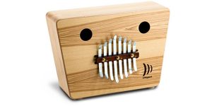 10 Most Common Musical Instruments Used In Salsa - Loud Beats