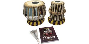 10 Popular Indian Musical Instruments That Will Inspire You the Most ...