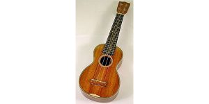 10 Most Popular Hawaiian Musical Instruments - Loud Beats